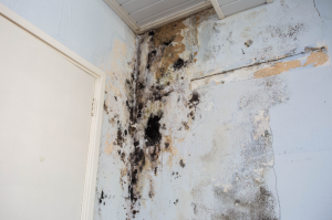 Interfloor Leakage Singapore: How Do You Deal With It?